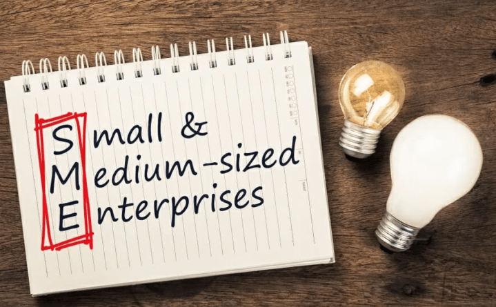 Understanding Small and Medium-Sized Enterprises (SMEs): Benefits and ...